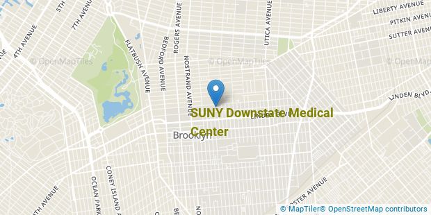 SUNY Downstate Health Sciences University Nursing Majors - Nursing ...