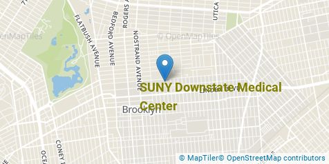 SUNY Downstate Health Sciences University Nursing Majors - Nursing ...